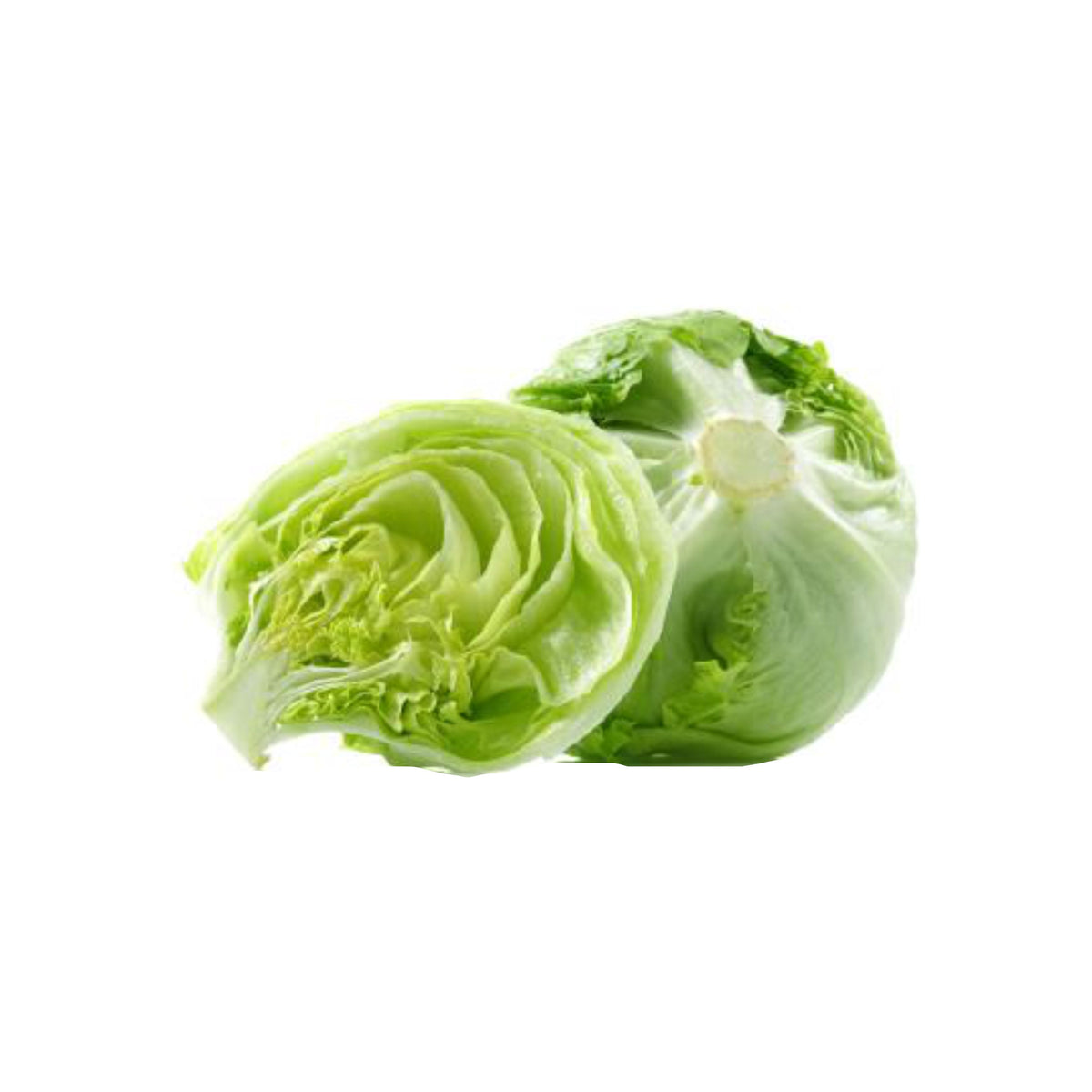 CELLO LETTUCE – New Indian Supermarket, Tracy
