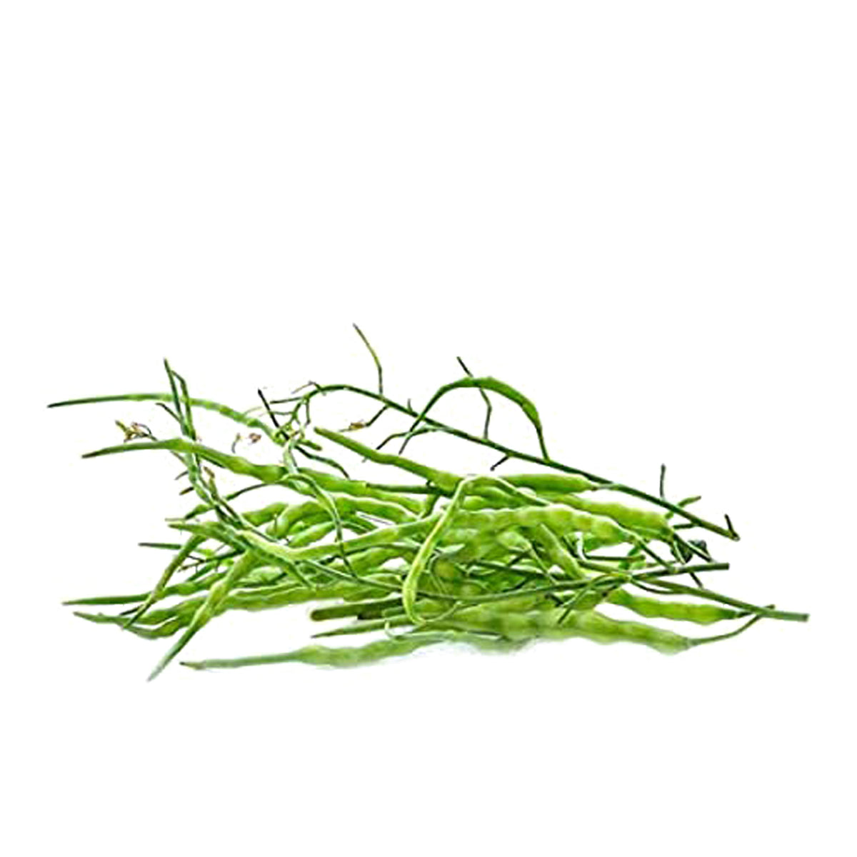 MUNGRA – New Indian Supermarket, Tracy