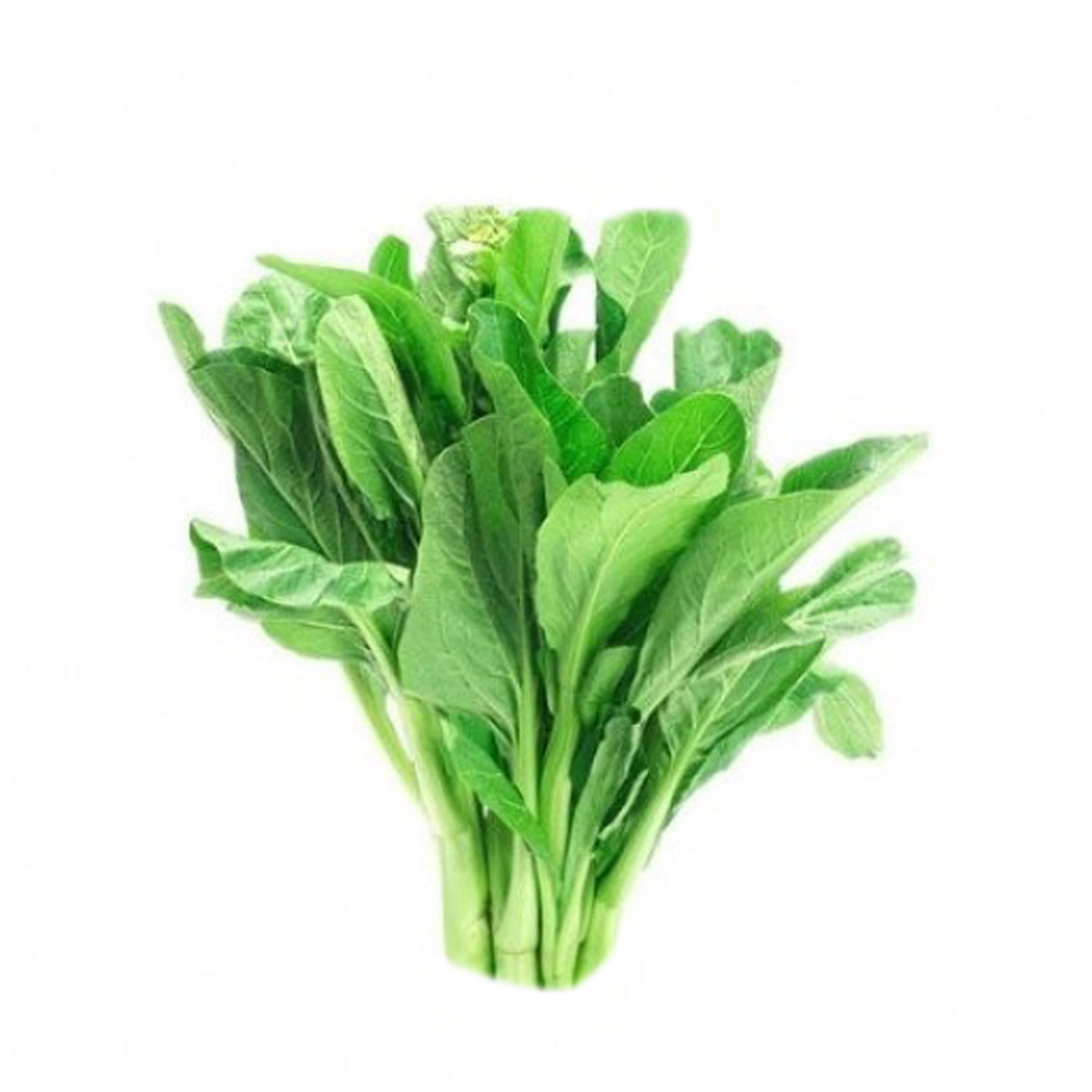 DESI SAAG – New Indian Supermarket, Tracy