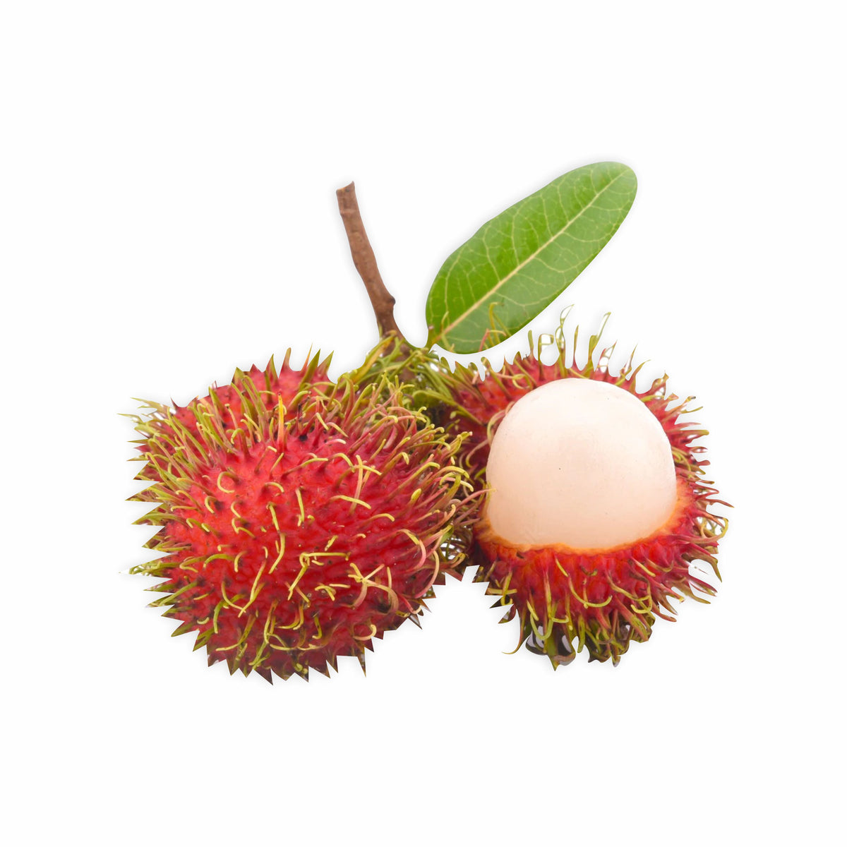 RAMBUTAN – New Indian Supermarket, Tracy